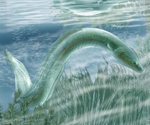 An Encyclopedia of European Animals and their Symbolism by A.R. Stone