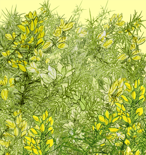 An Encyclopedia of European Trees and their Symbolism by A.R. Stone